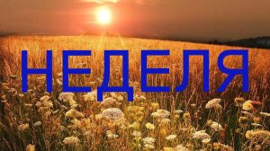 ⭐ ПРОГНОЗ НА НЕДЕЛЮ С 28.07.2025 ПО 03.08.2025 ⭐ Контакты floransia@yandex.ru
