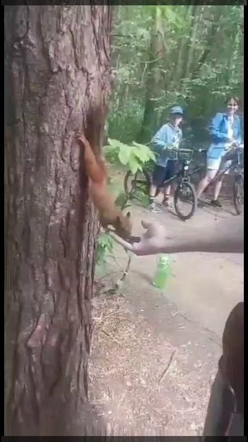 😍 🐿 Воскресенье - день отдыха! 👍 🤪