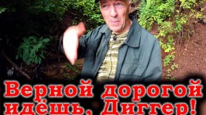 Исследования - что нового итоги.