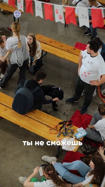 что вас восхищает