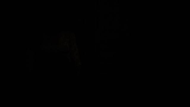 DreadOut 2 Нини Тетти Оказалась Ведьма Запутанный Лес Темный #16