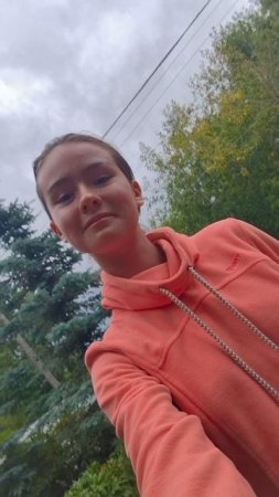 это лю