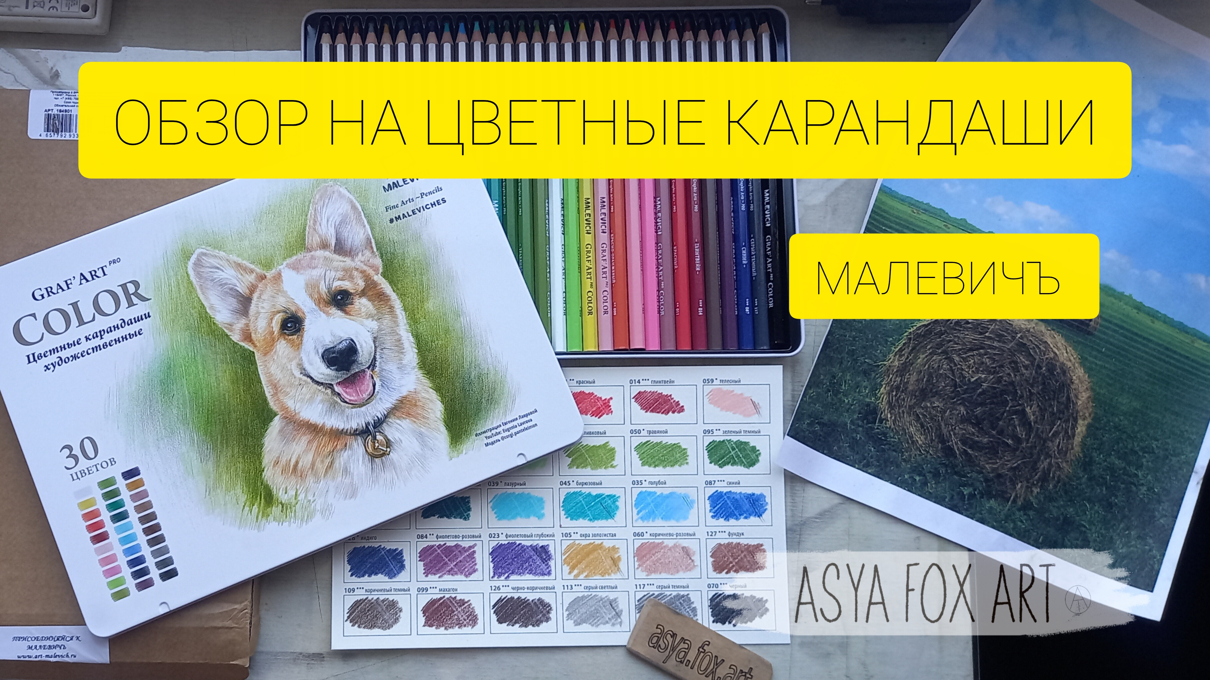 ОБЗОР НА ЦВЕТНЫЕ КАРАНДАШИ  МАЛЕВИЧЪ GRAF'ART pro COlOR |ASYAFOXART
