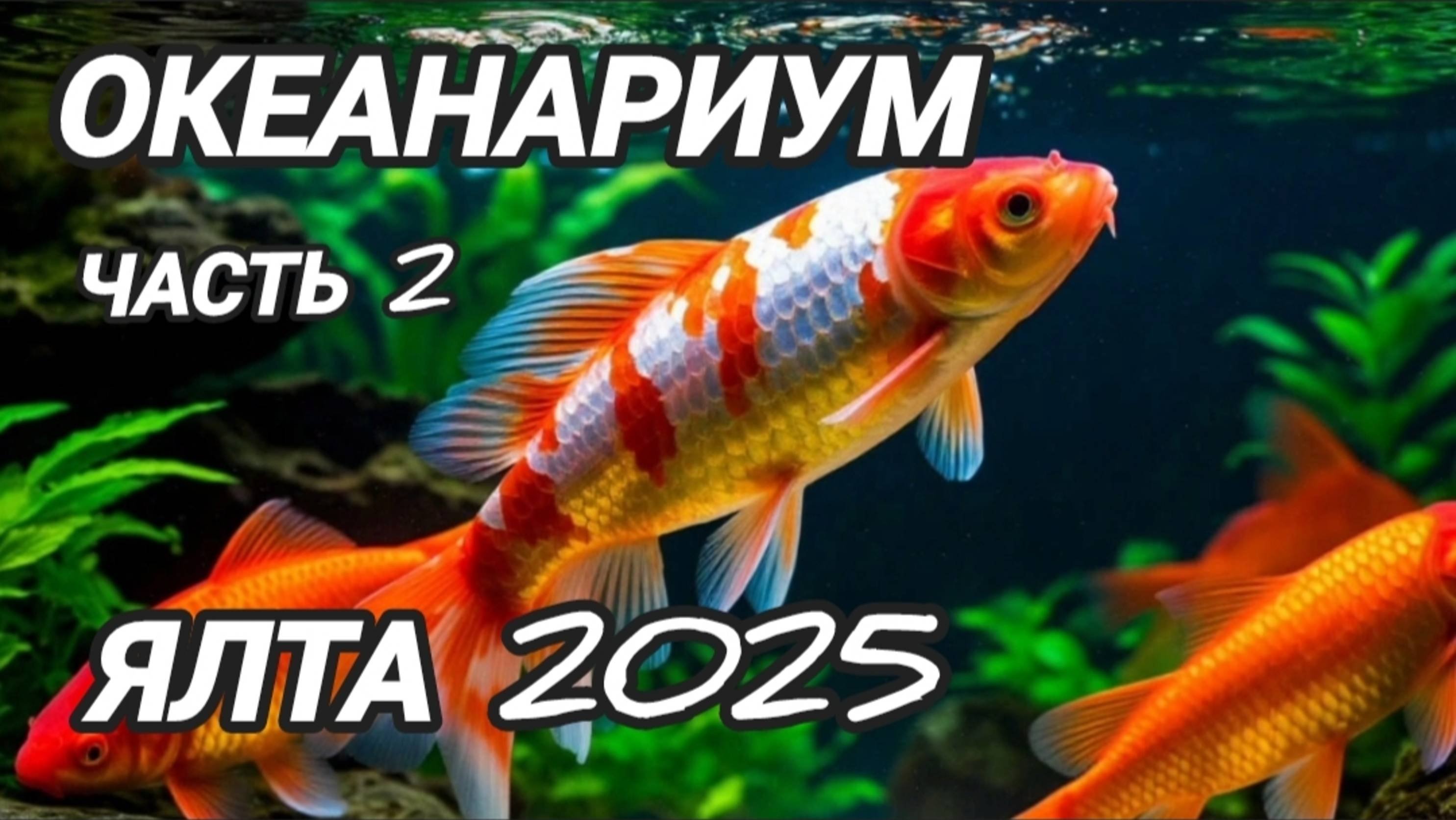 Крым 2025 | Ялтинский океанариум