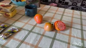 Пробую первый урожай 🍅
