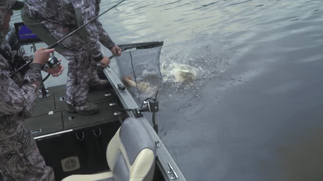 "МИР РЫБОЛОВА". Судак на Каме. 2