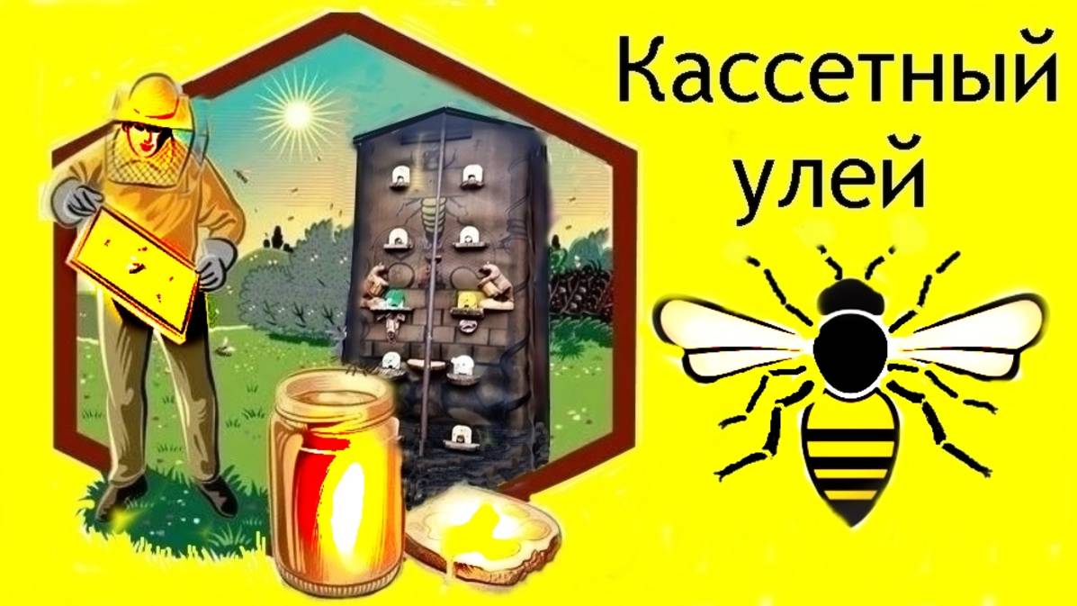 Пчелы кассетный улей осмотр🐝