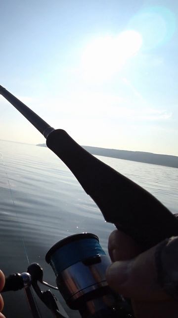 ЖЕРЕХ ВЛЕТЕЛ КАК РАКЕТА, НА КАСТМАСТЕР!