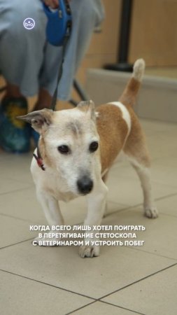 когда хотел всего лишь
