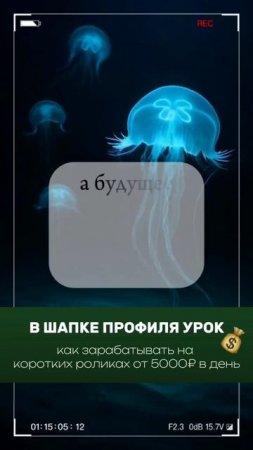 Начни зарабатывать от 5000 в день
