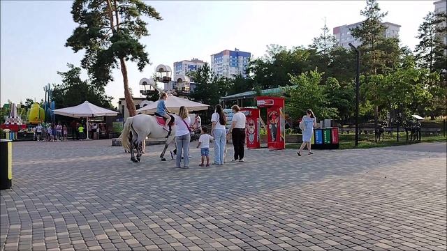 Катание на лошадях