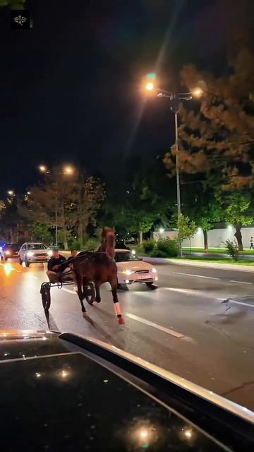 Веселая езда