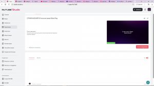 СТРИМЧАНСКИЙ ПО Ассассин крид 4 Black Flag