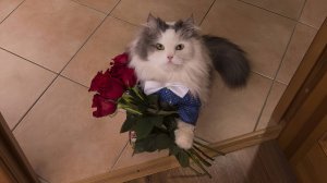 С Днём Рождения, Инна