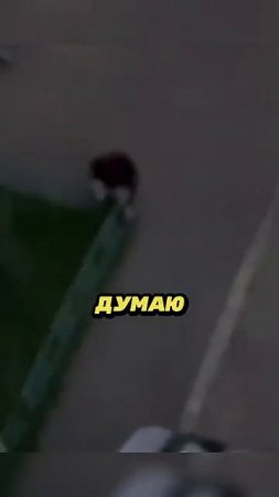Он взбодрил его адреналином 🔊🧏_♂️💊