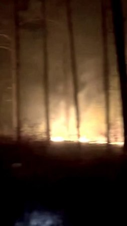 Лесной пожар в Читинском районе