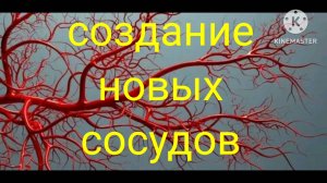 Ангиогенез-как создать новые кровеносные сосуды?