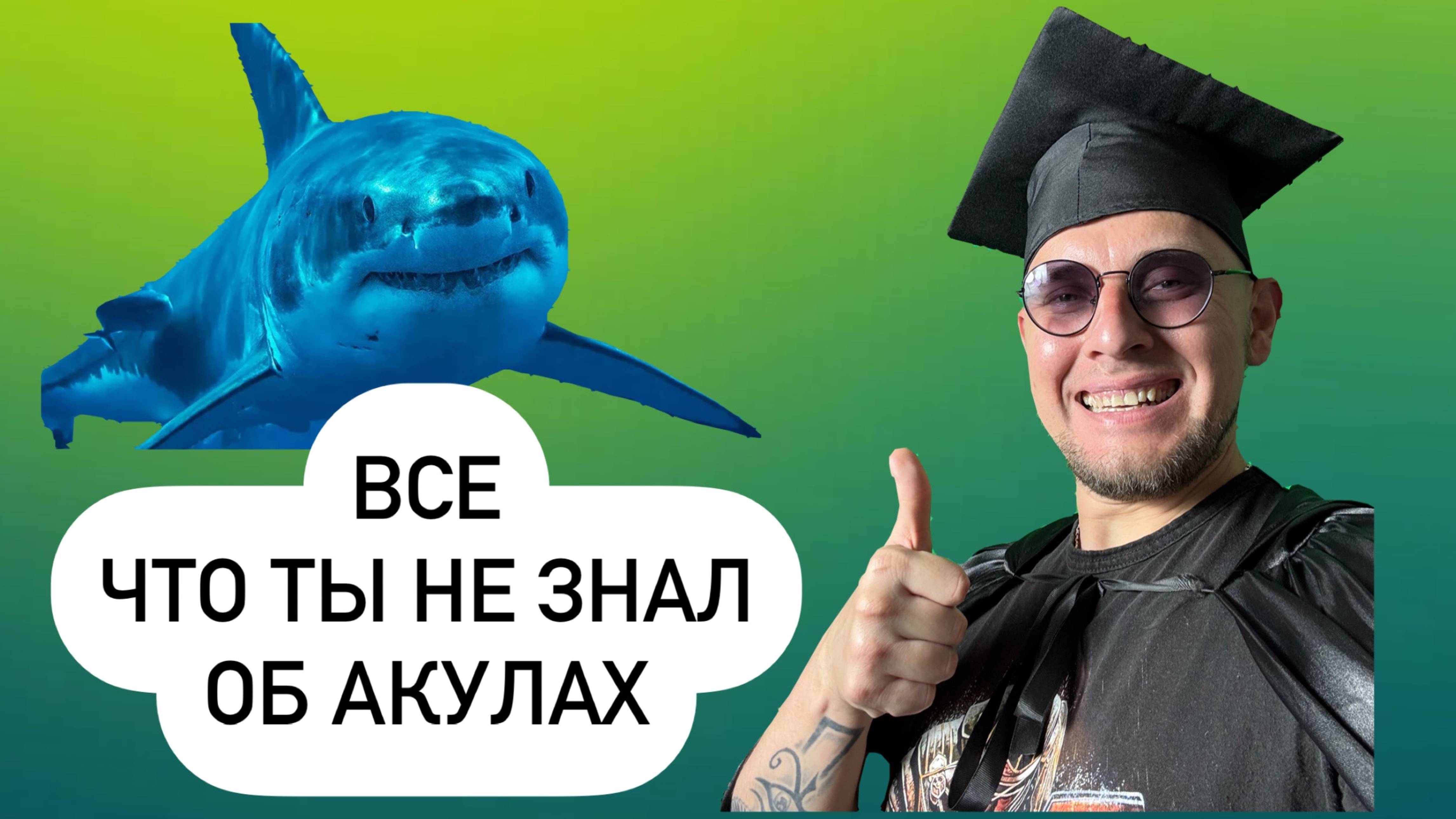 Удивительные факты об акулах