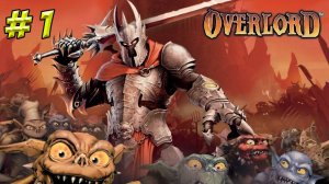 Overlord. Часть 1. Обещали немного веселья!!