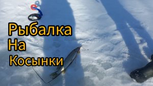 ВОТ ЭТО ДА. РЫБАЛКА НА КОСЫНКИ ПО ПОСЛЕДНЕМУ ЛЬДУ. ТАЕЖНАЯ РЕЧКА РАЗДАЕТ.