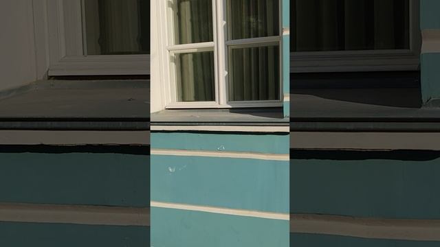 Арбат 26.07.2025