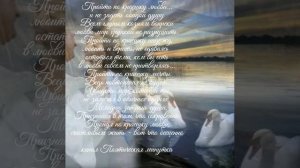♥️ ПРОЙТИ ПО КРАЕШКУ...ЛЮБВИ...💗
#видеостихи #стихи _о_главном