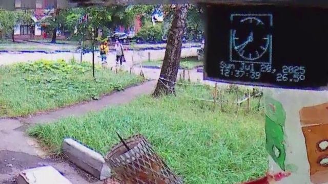 В прокуратуру Москвы Под окном 2025 июль 19 - 21 нарушения ПДД и САНПИН
