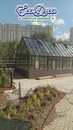 Самая большая теплица — оранжерея с высокими грядками / ЖК WillTowers // Июнь 2024