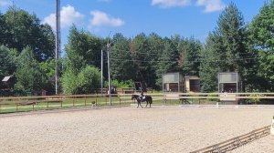 Соня и Наоми, Всероссийские соревнования по конному спорту «Ассамблея пони старс»
