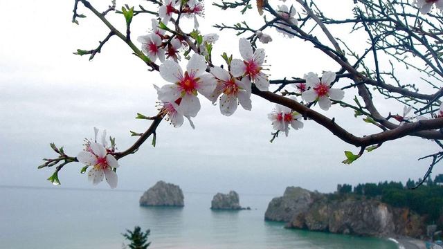 Для сна / Слушать онлайн бесплатно / Релакс / Медитация