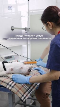 черствые?