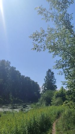 Река Клязьма 🏖️