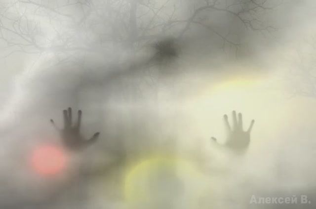 Туман автор Алексей В