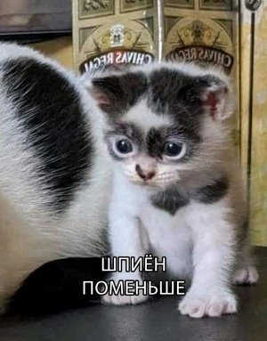 поговорим