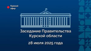 Заседание Правительства Курской области. 28 июля 2025 года