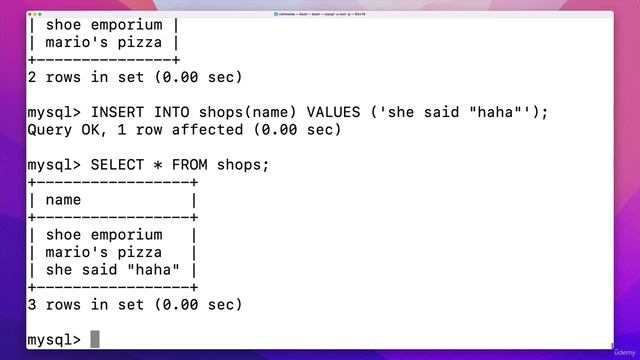 04. Inserting Data