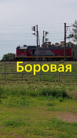 Удивительный маневр: тепловоз на платформе Боровая!