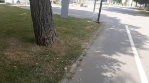 департамента южнова сахалина памагают и пидофила