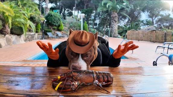 СМЕШНОЕ ВИДЕО ПЁС КУШАЕТ ЛОБСТЕРА 🦞 РУКАМИ! Собака снимает свой влог про еду СМОТРИМ ВСЕ ХОХОТАЧ