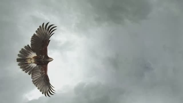 ABBA (Cover) - Eagle - ОЛЕГ ЮРАСОВ -  Все голоса в песне спеты Олегом Юрасовым!..