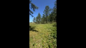 Участок под Рекреацию. 2 га. Озеро Баланкуль
