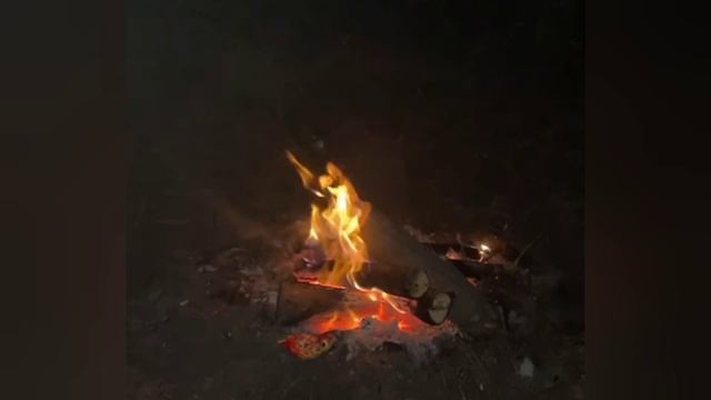 Два дня на Обском водохранилище.