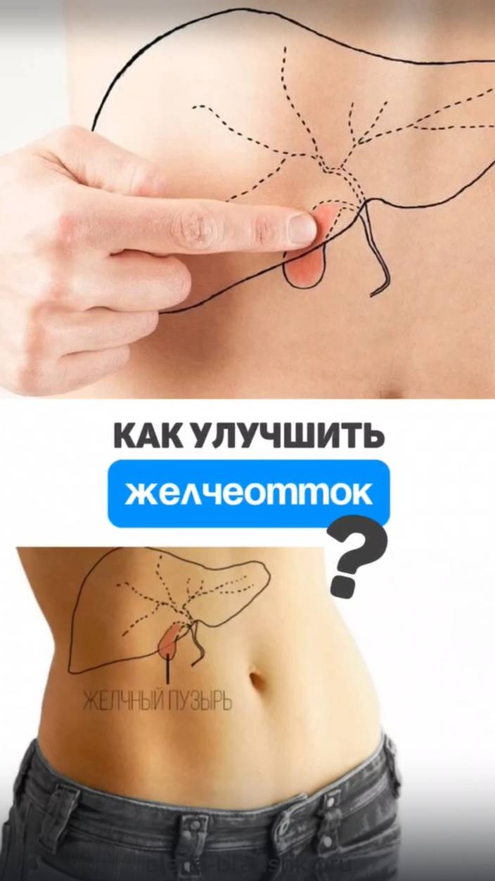 Как улучшить желчеотток? Алена Братишко