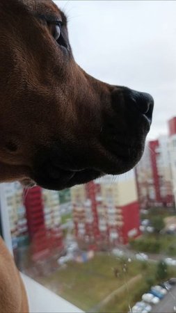 Когда ты почти за 2 года узнал, что можно сверху наблюдать, шок зашкаливает😂
#стаффи #шок