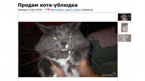 Кто такой омагАд кефтеме