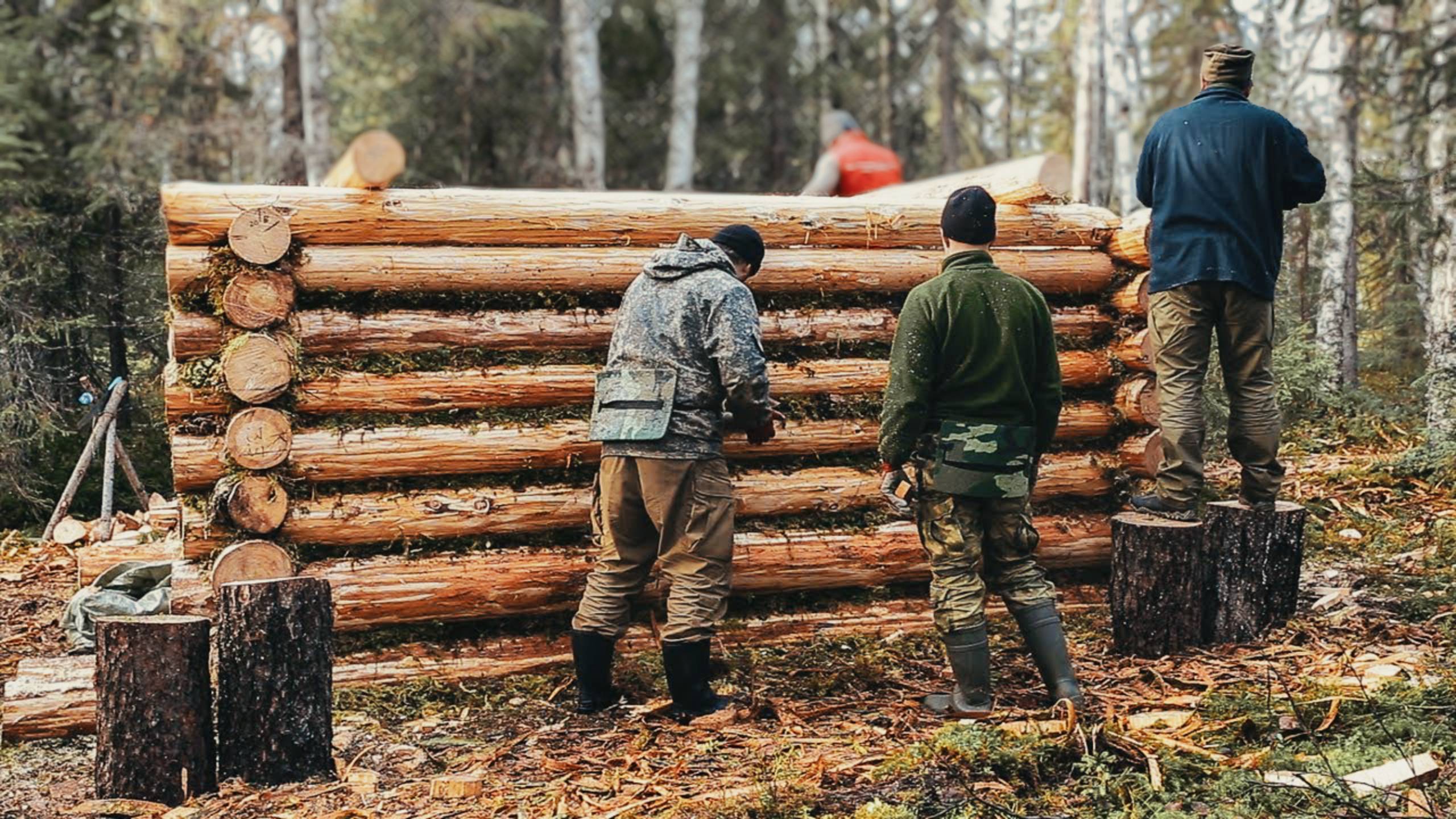 ПОХОД В ЛЕС К ИЗБЕ КОТОРУЮ СТРОИМ. ️