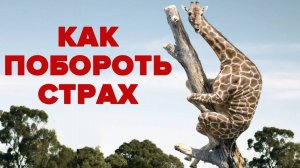 Преодолеваем страхи👍😎😁💪