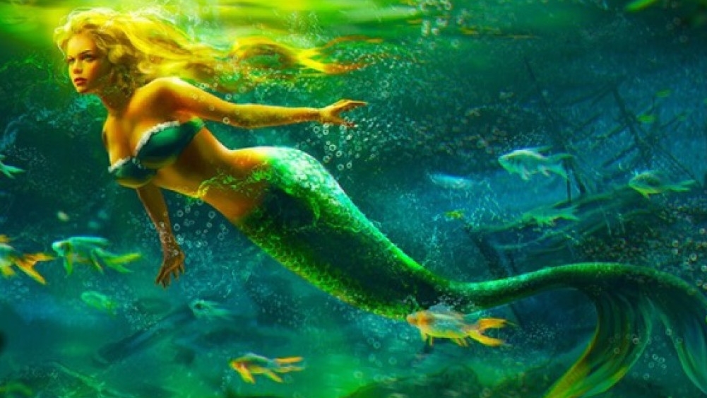 Enigma Slow beautiful version 🐠🧜♀️🐟🪸