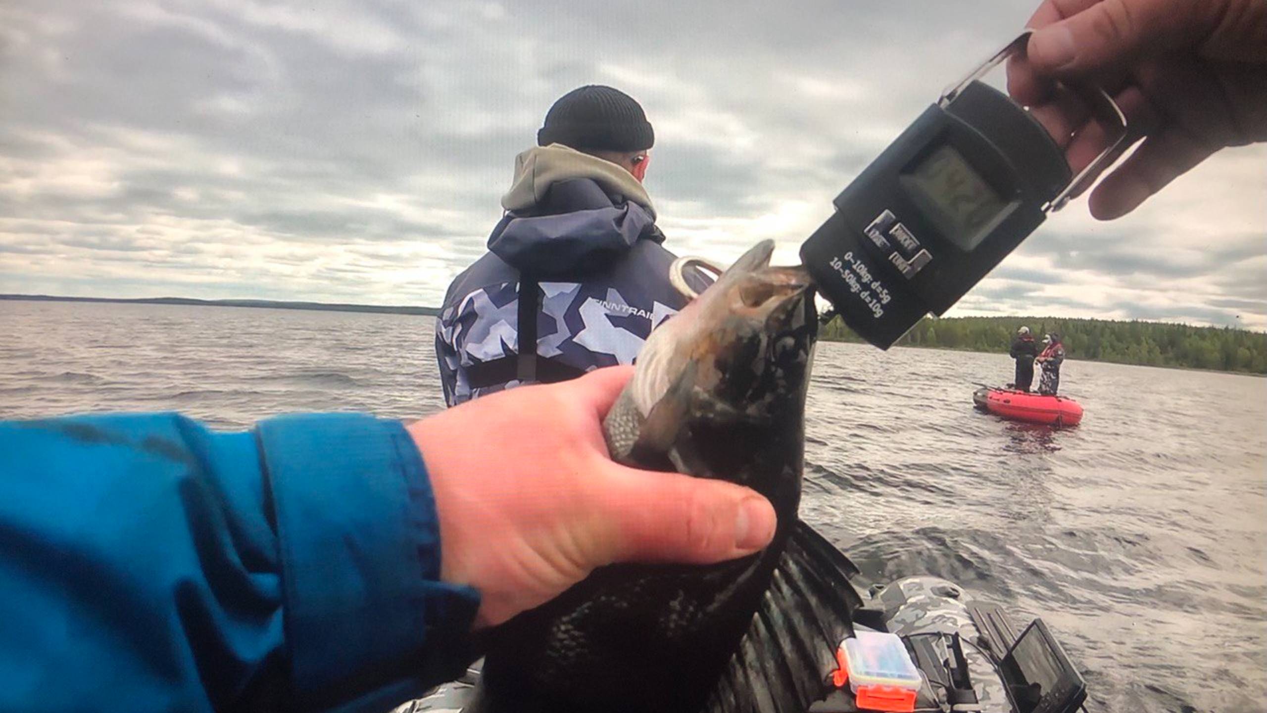 Озеро в Карелии 2025 Июль .  Рыбалка на спиннинг . Ловим крупного окуня.