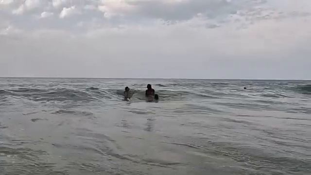Наша сова умерла из-за ракет.На море молнии и дождь.